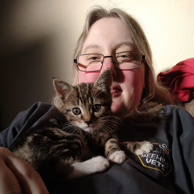 We Love Cats! Cat friendly Vet Clinic in Rothwell – Beehive Vets