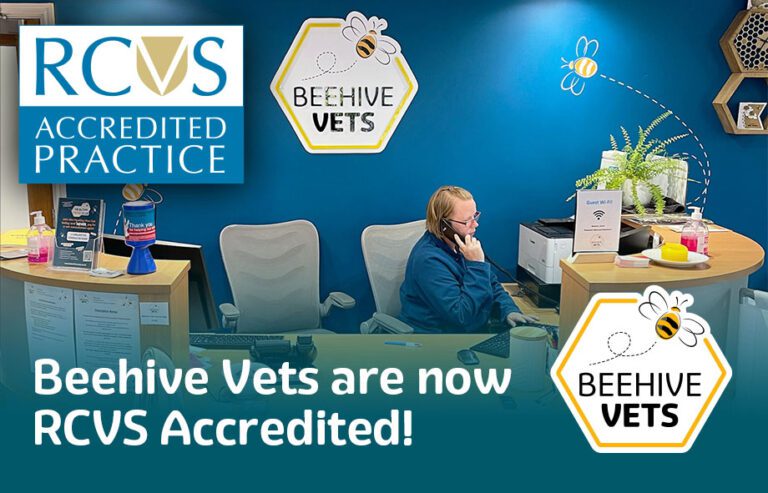 Beehive Vets are an Independent RCVS Accredited Vet in Rothwell!
